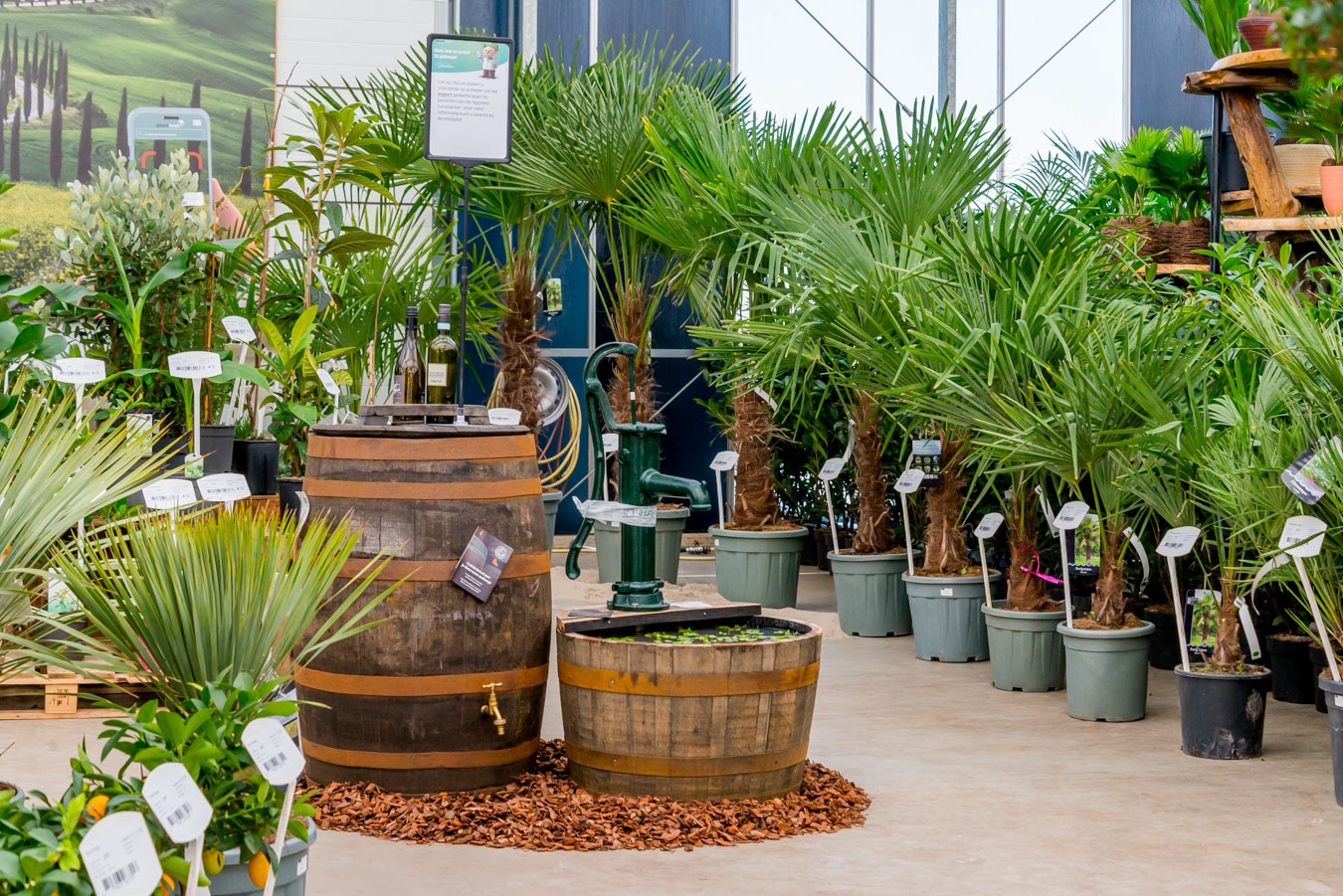 Plant Collect. Import